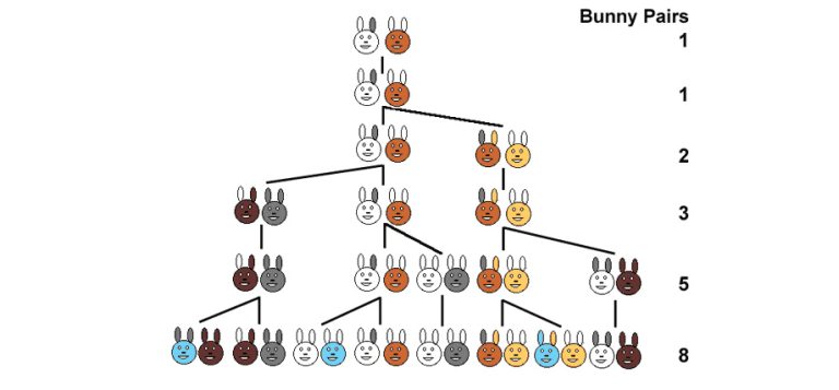 Die Fibonacci-Folge - Archweb