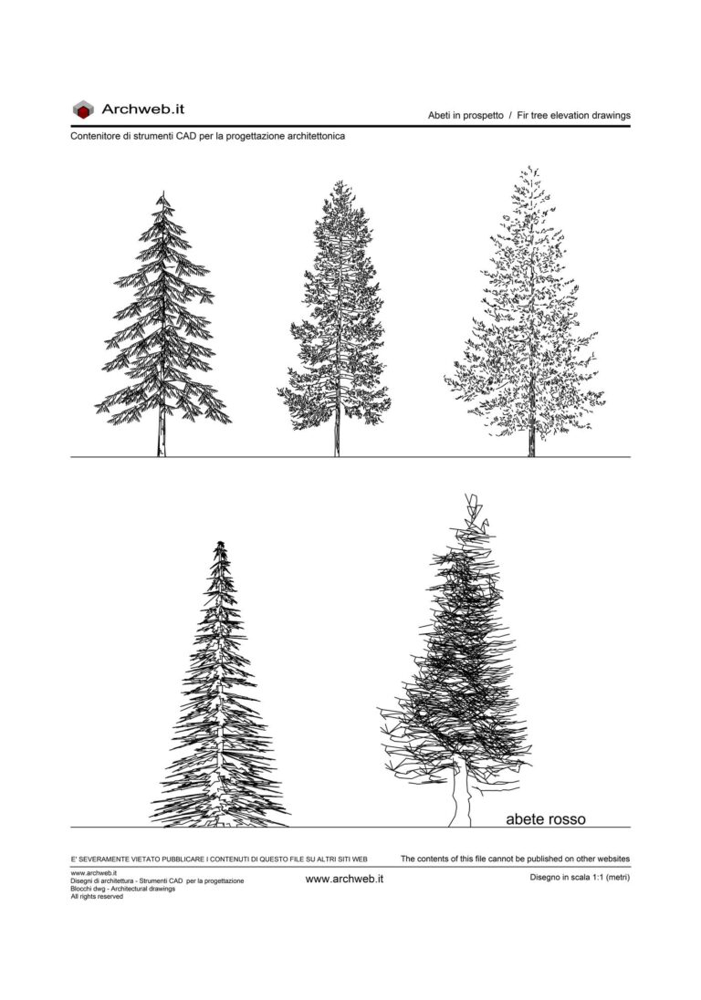 Conifers dwg