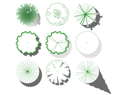 Alberi pianta 04 - Archweb