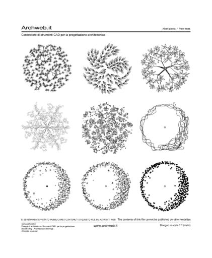 Alberi pianta 06 - Archweb