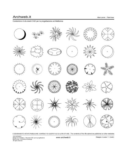 Alberi pianta 12 - Archweb