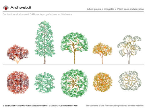 Alberi pianta e prospetto - Archweb