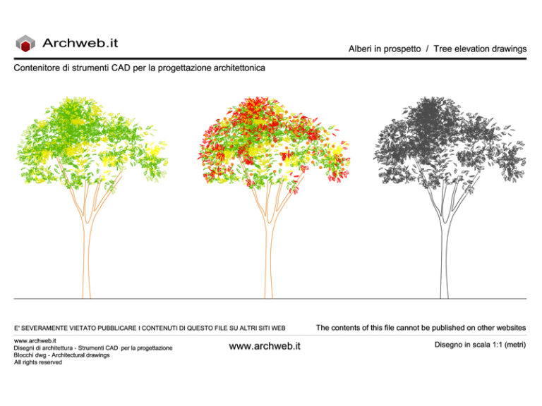 Alberi prospetto 12 - Archweb