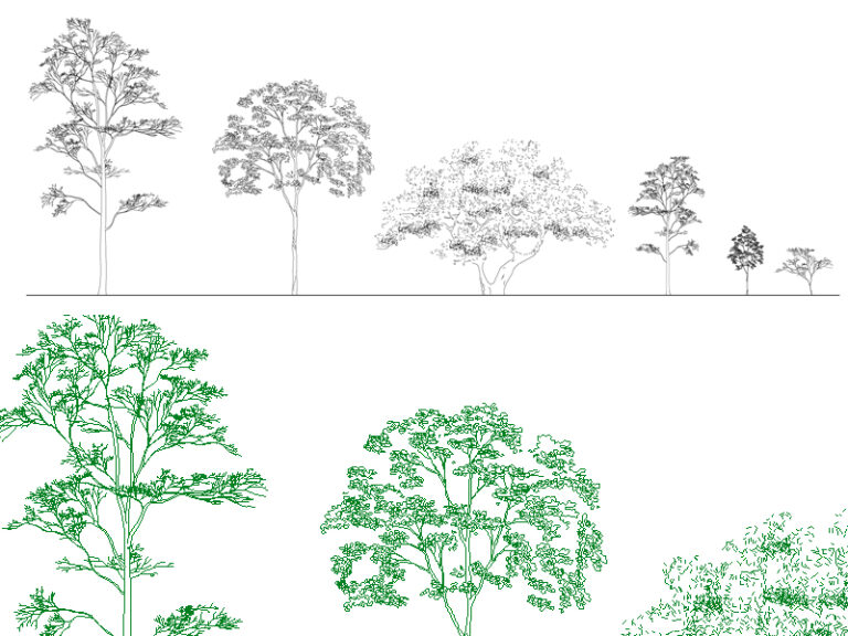 Alberi prospetto 13 - Archweb