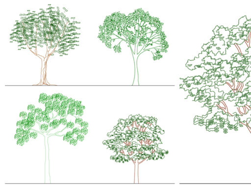 Alberi prospetto 15 - Archweb
