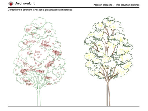 Trees prospect 16 - Archweb