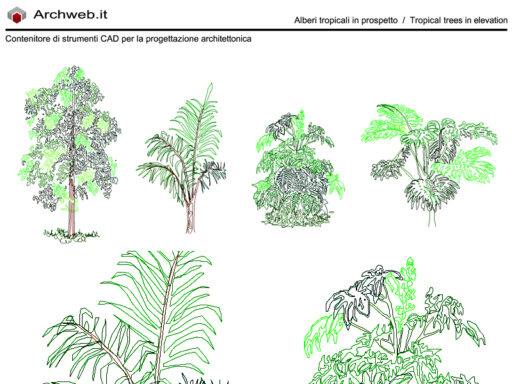 Alberi tropicali - Archweb