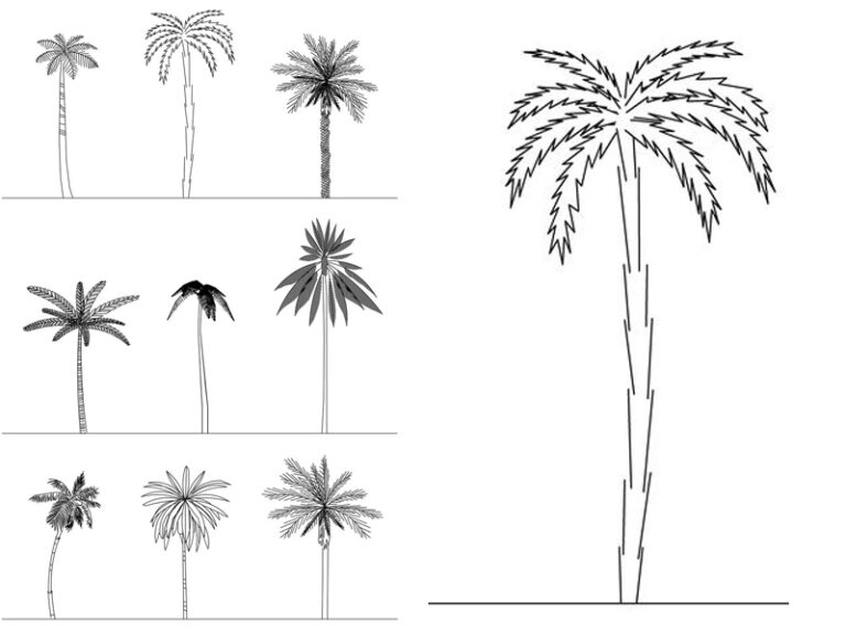 Palm trees in elevation dwg