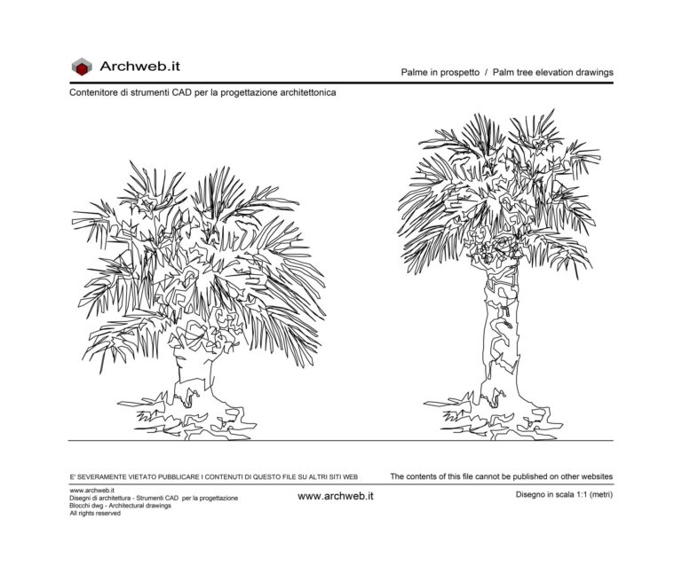 آفاق أشجار النخيل 06 - Archweb