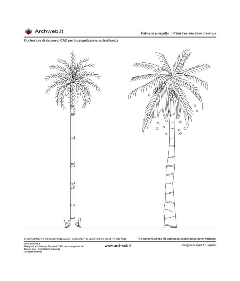 Palme in prospetto dwg