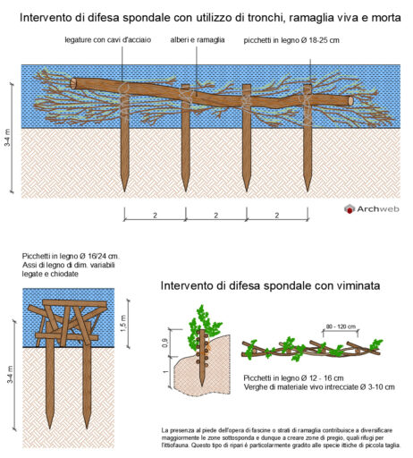 Bank protection with branches - Archweb