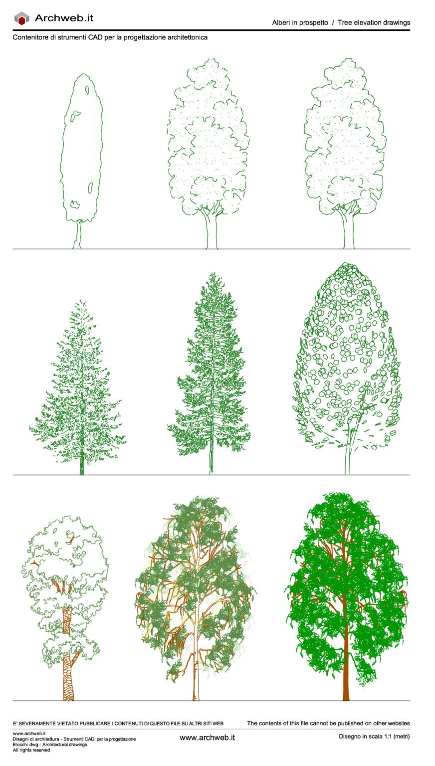Alberi prospetto 21 - Archweb