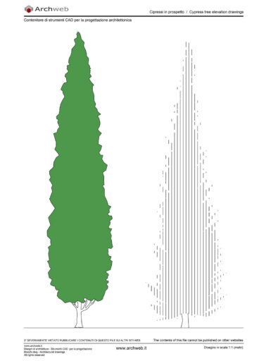 Zypressen-Prospekt 08 - Archweb