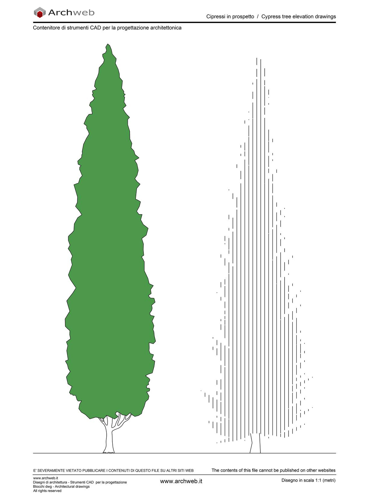 Cipressi prospetto 08 - Archweb