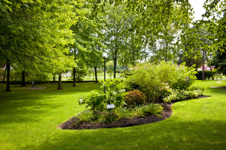 Green areas in urban parks - Archweb