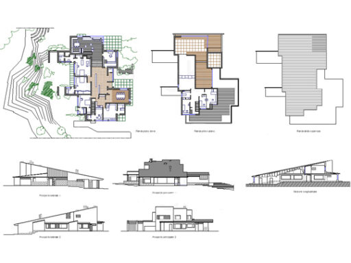 Maison Louis Carré - Archweb