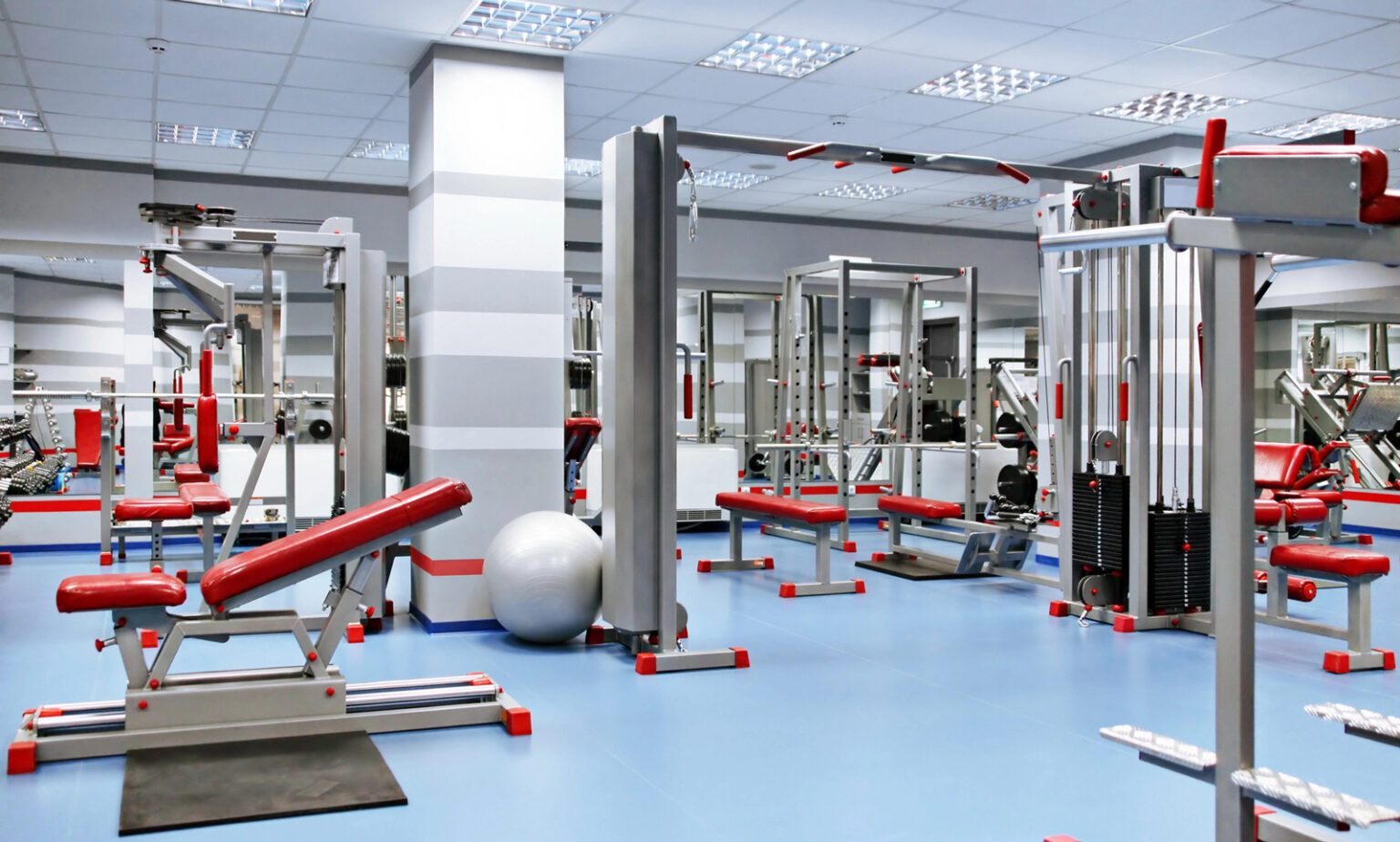 How to design a gym - Archweb