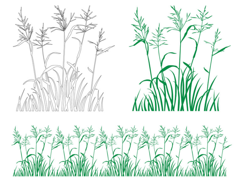 Green - Parks - Gardens dwg